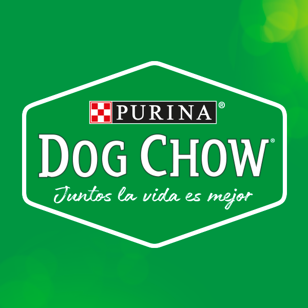 Dog Chow Adulto Extra Life Raza Mediana y Grande 15 kg - Mundo Abarrotes