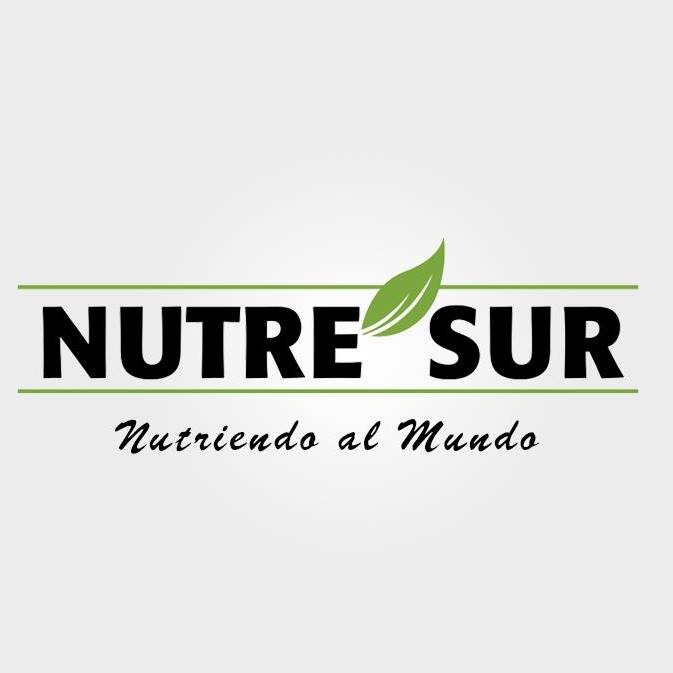 Nutre Sur Crema Alverja 12 unidades 160g - Mundo Abarrotes